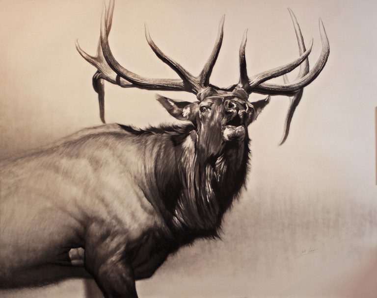 Cole Johnson - Charcoal and Graphite Wildlife Artist | Chris Chantland ...